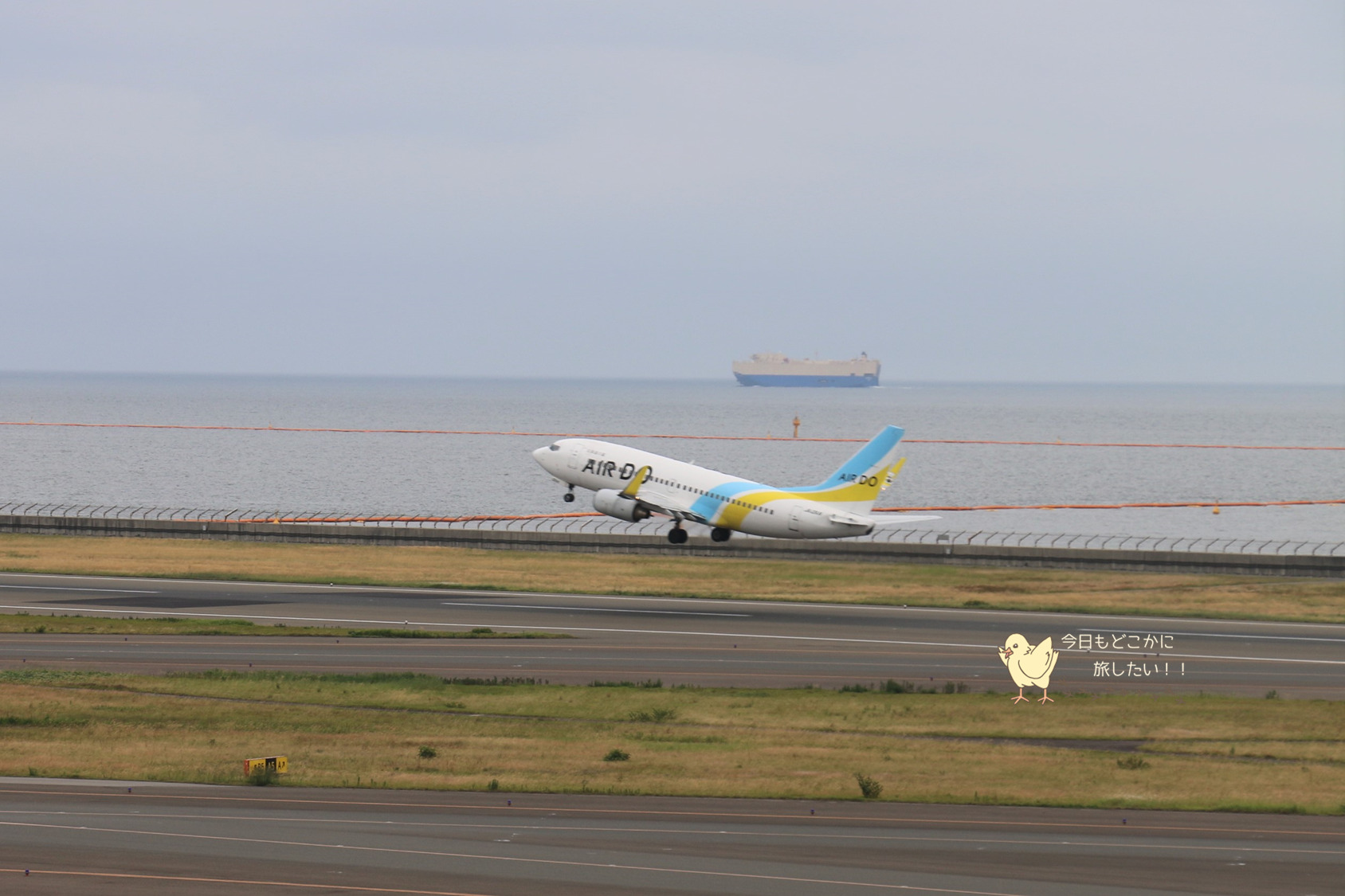 AIRDO便でANAのプレミアムメンバーサービスは使える？予約方法によって一部使えます。 | 今日もどこかに旅したい