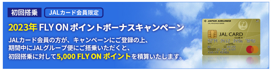 jal flyonポイント早見表 – jal flyon シミュレーション – WCNOO